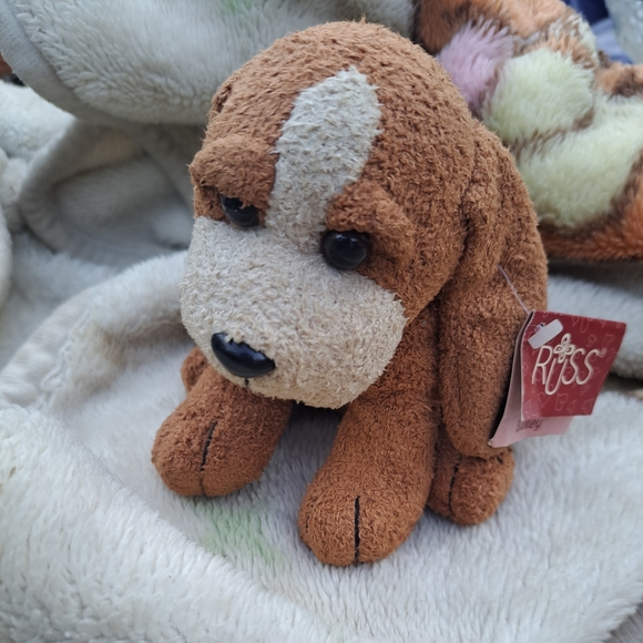 Russ | Toys | Rare Russ New Stuffed Animal Hound Dog Named Bailey ...